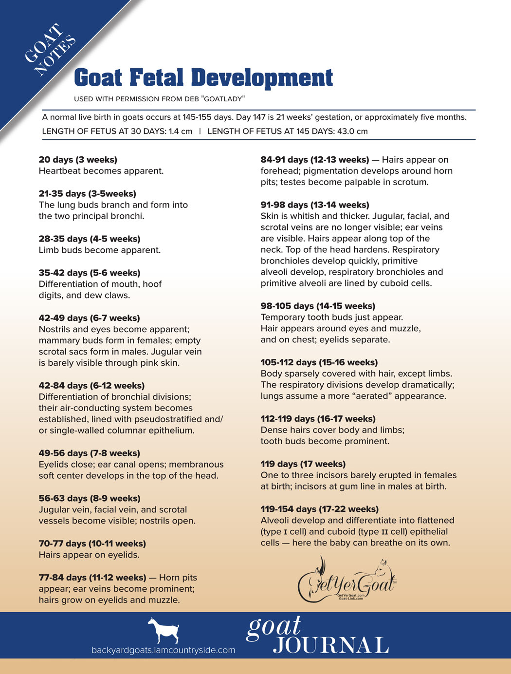 Goat Fetal Development - Goat Journal